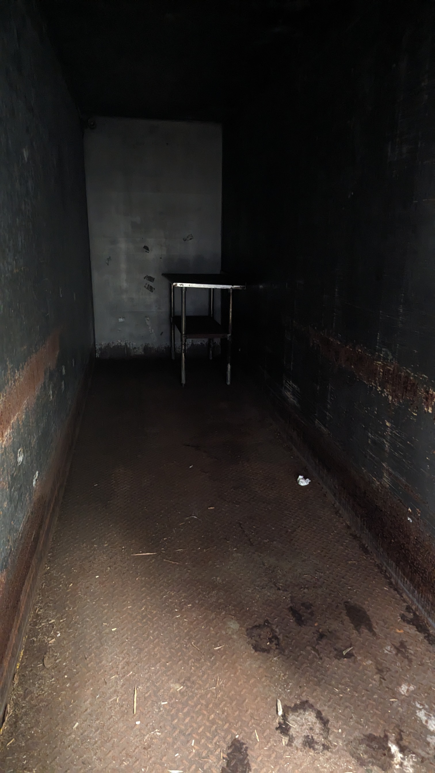 AMONIA 4 PALLET VACUUM CHAMBER SYSTEM