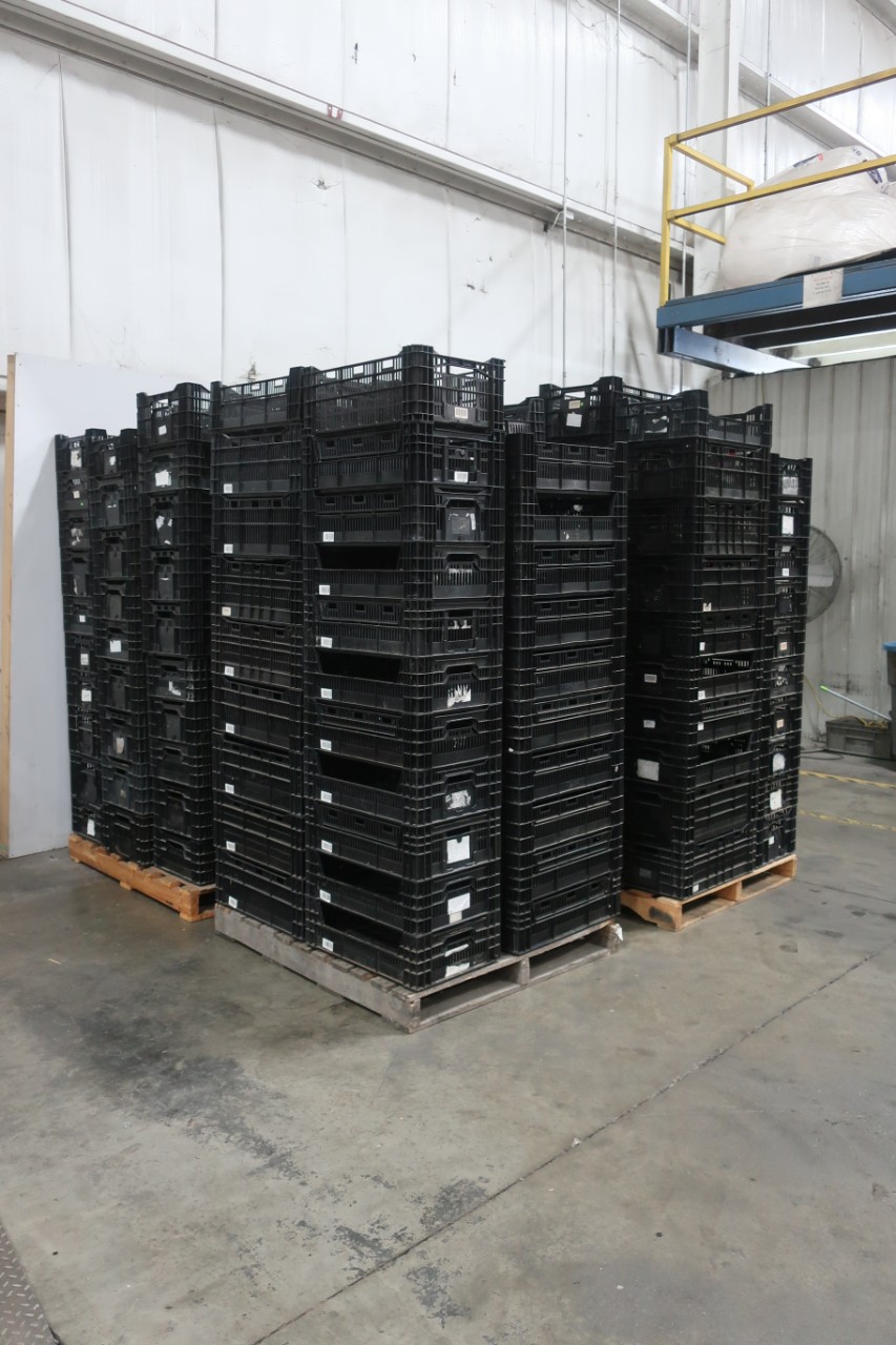 LOT OF 200 BLACK STORAGE TOTES For Sale | Aucto