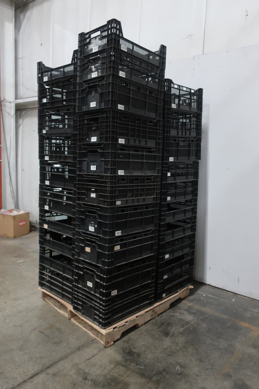 24 PALLETS OF STORAGE TOTES, APPX. 1000 TOTES